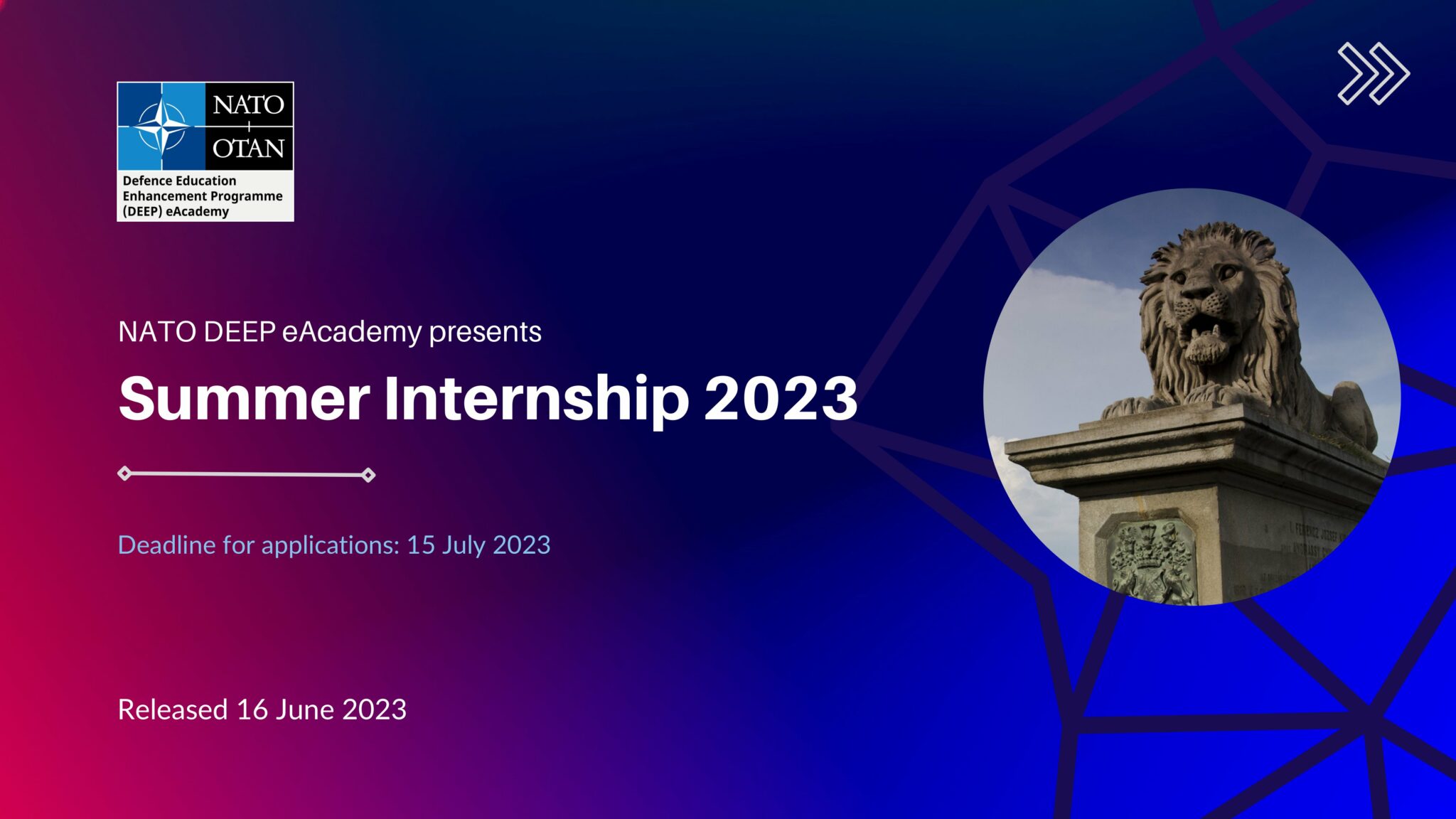 eAcademy Summer Internship 2023 – DEEP Portal